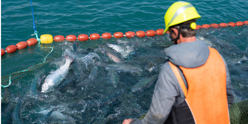 FC155-Forms and Checklists for Finfish Farming and Fish Hatcheries