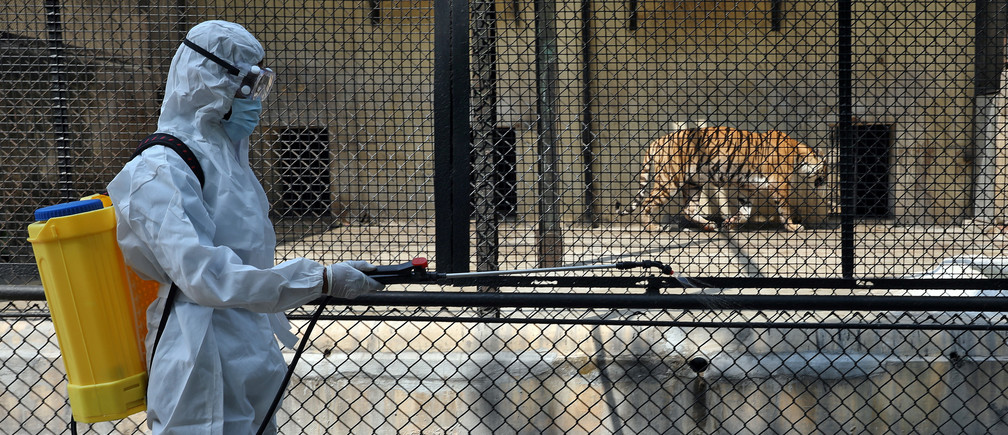 SOP Manual for Support Activities for Animal Production SOP-697