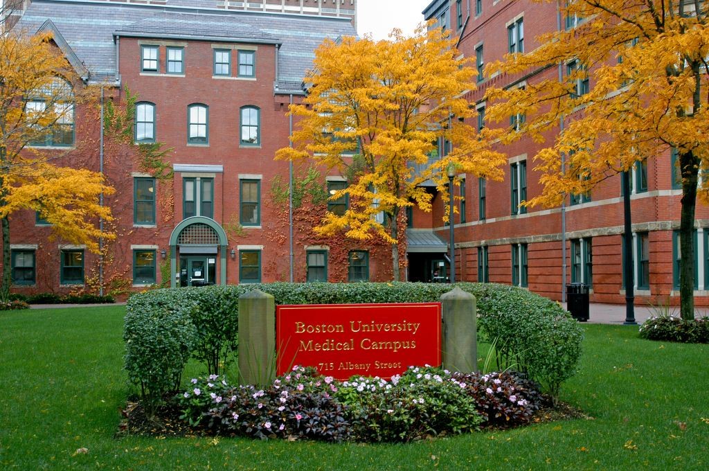 Study Abroad Supply Chain Management at Boston University