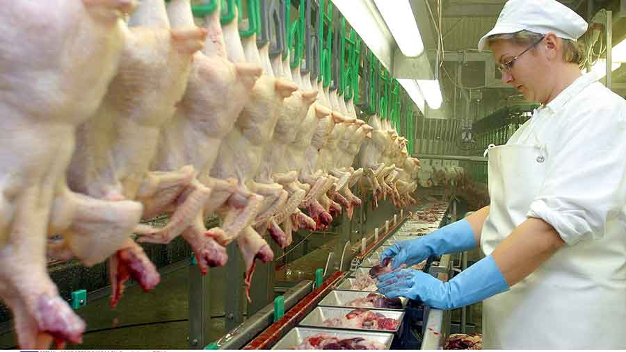 Animal (Except Poultry) Slaughtering, SOP Manual SOP-188
