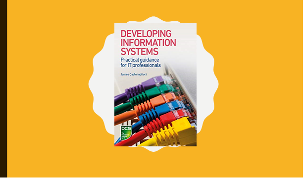 Developing Information Systems: Practical guidance for IT professionals