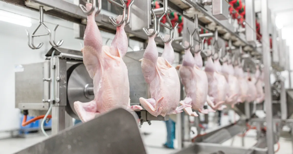 Poultry Processing, SOP Manual SOP-990