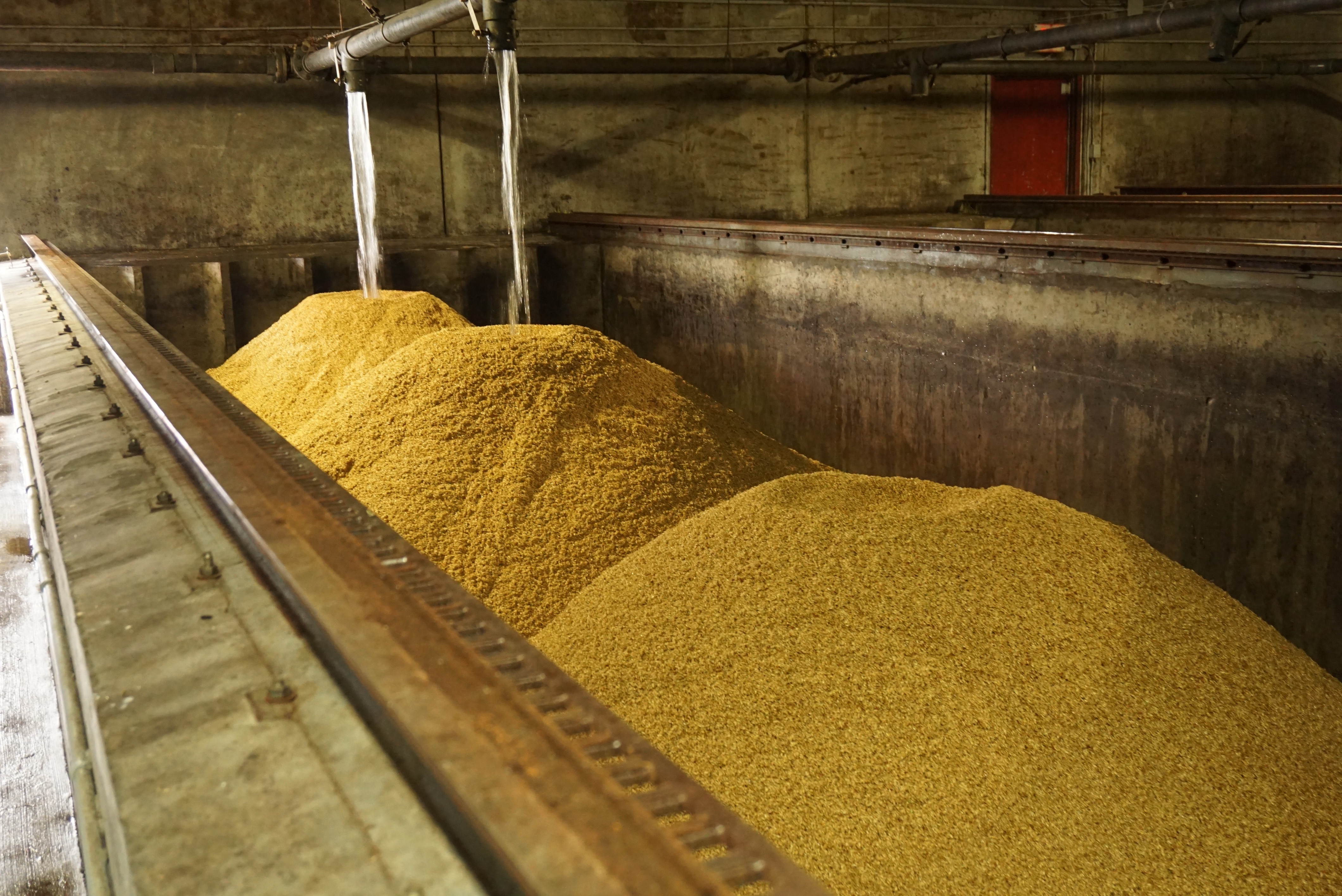 SOP Manual for Malt Manufacturing SOP-693