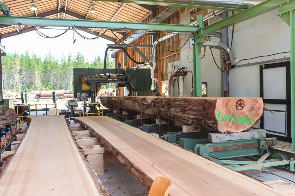 SOP Manual for Sawmills SOP-917