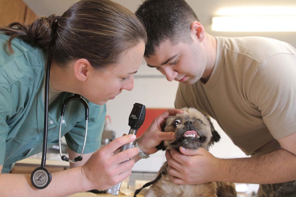 SOP Manual for Veterinary Services SOP-1103